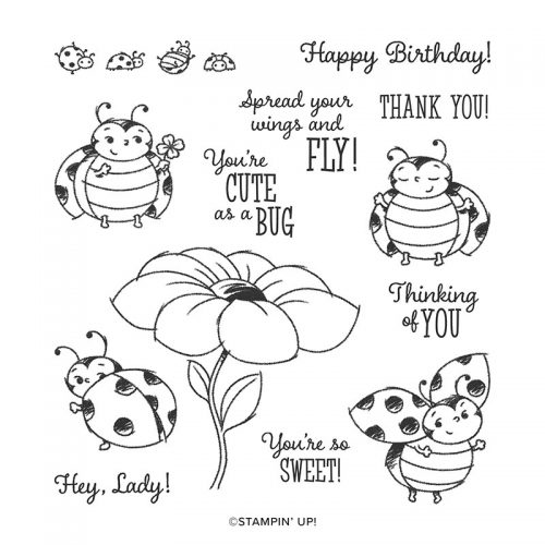 Little Ladybug Note Card & Gift Package – Just Stampin'