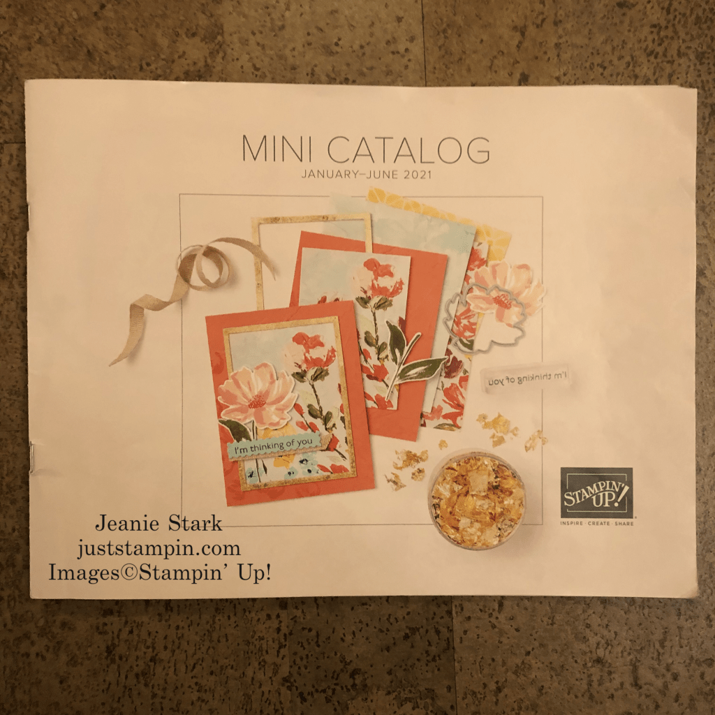 2021 Mini Catalog Product Shares & DSP Swatch Books! Order Yours Today ...