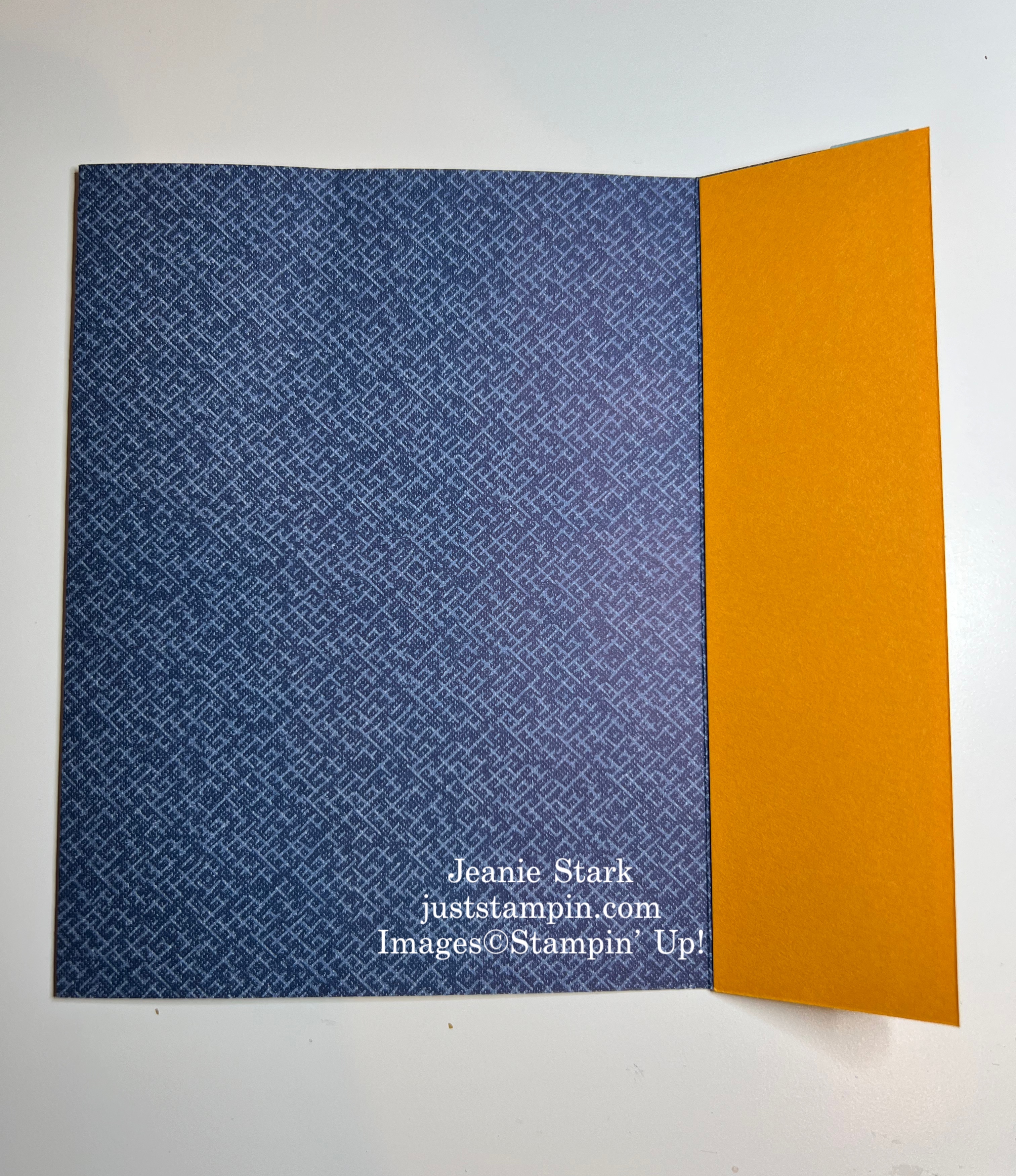 Regency Park Double-Sided Designer Series Paper Cards – Just Stampin'