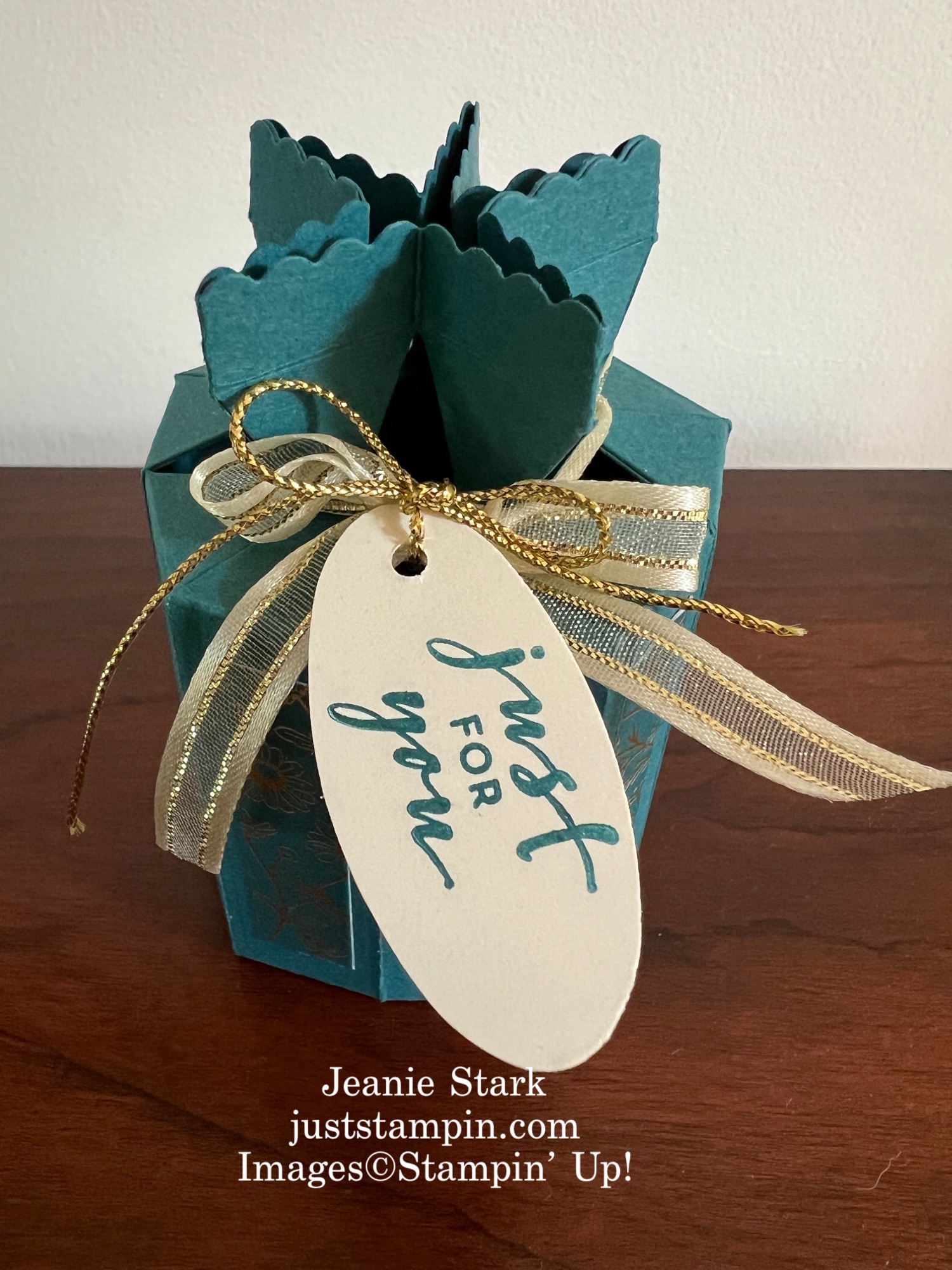 Unique Gift Box with Retiring Cracker & Treat Box Dies – Just Stampin'