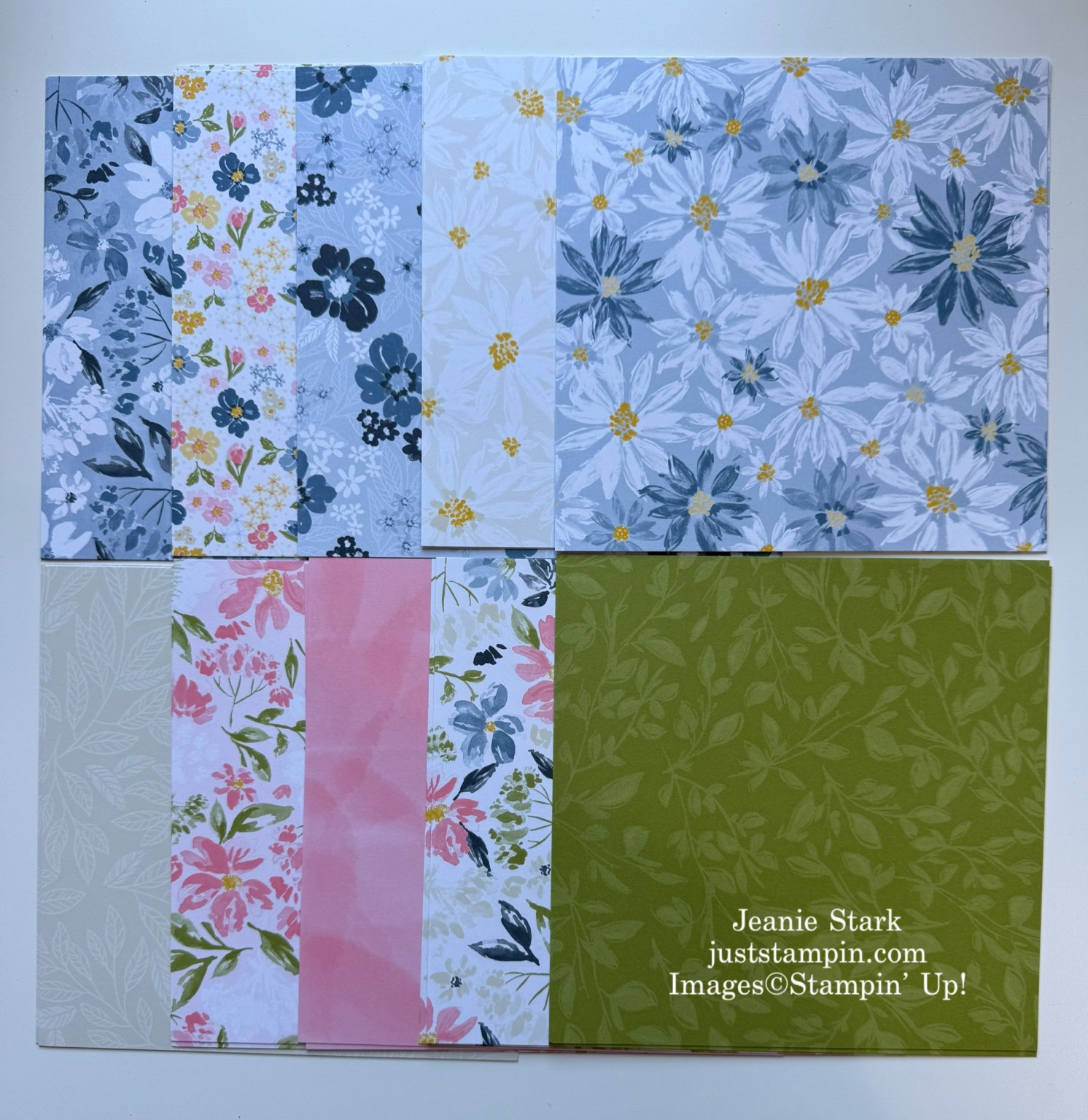 Vertizontal Pocket Cards with Brushed With Beauty & 12 Days of Crafting ...